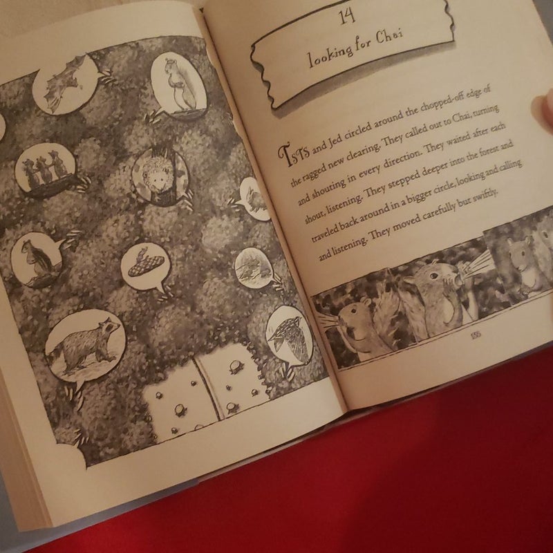 Nuts to You by Lynne Rae Perkins, Hardcover | Pangobooks