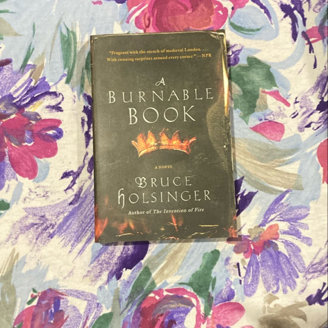 A Burnable Book by Bruce Holsinger
