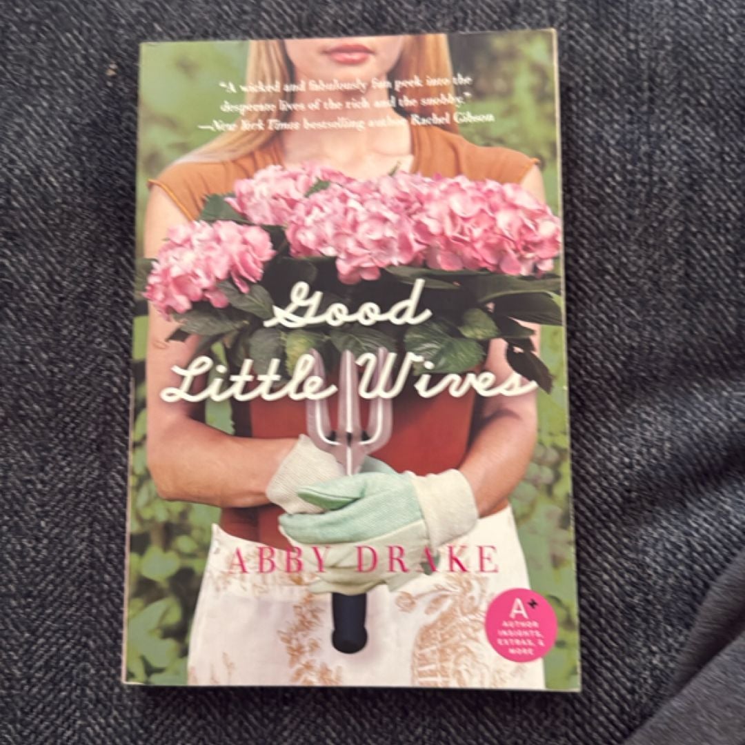 Good Little Wives by Abby Drake