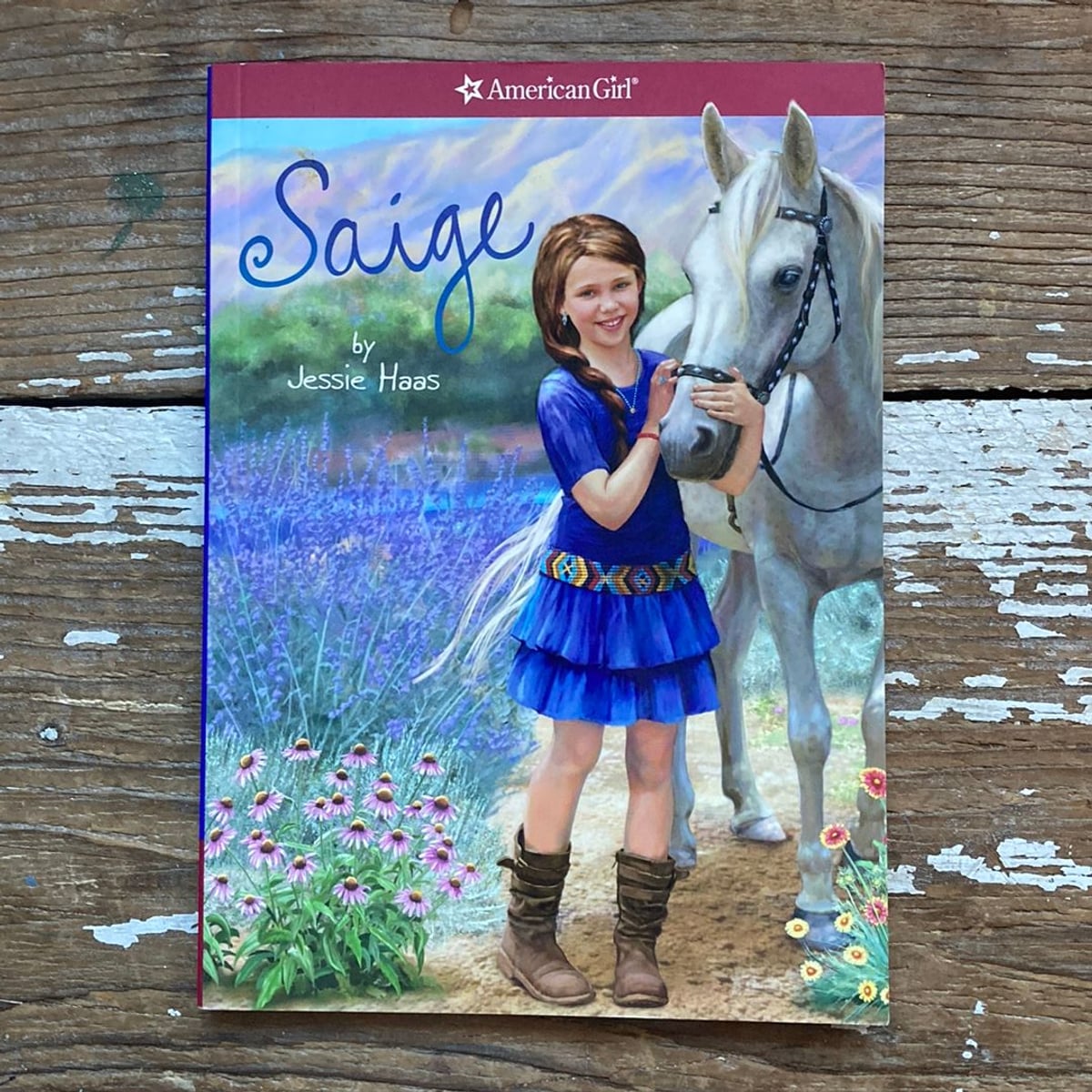 Saige by Jessie Haas