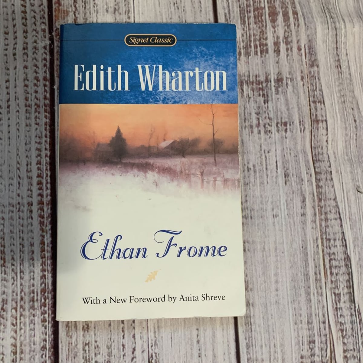 Ethan Frome by Edith Warton, Elizabeth Ammons