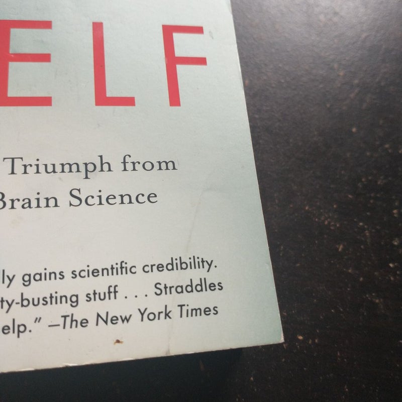 The Brain That Changes Itself by Norman Doidge