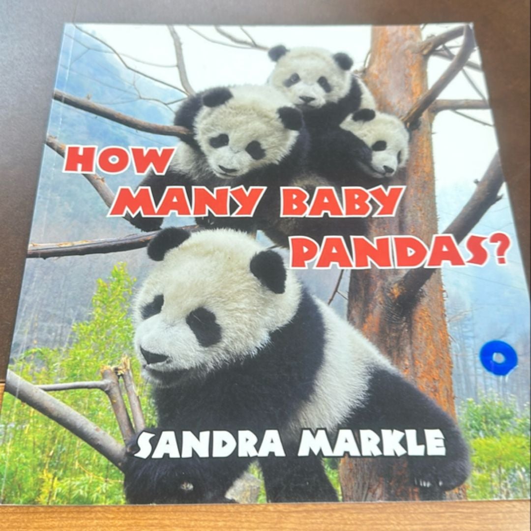 How Many Baby Pandas? / Scholastic Book Fair Edition by Sandra Markle