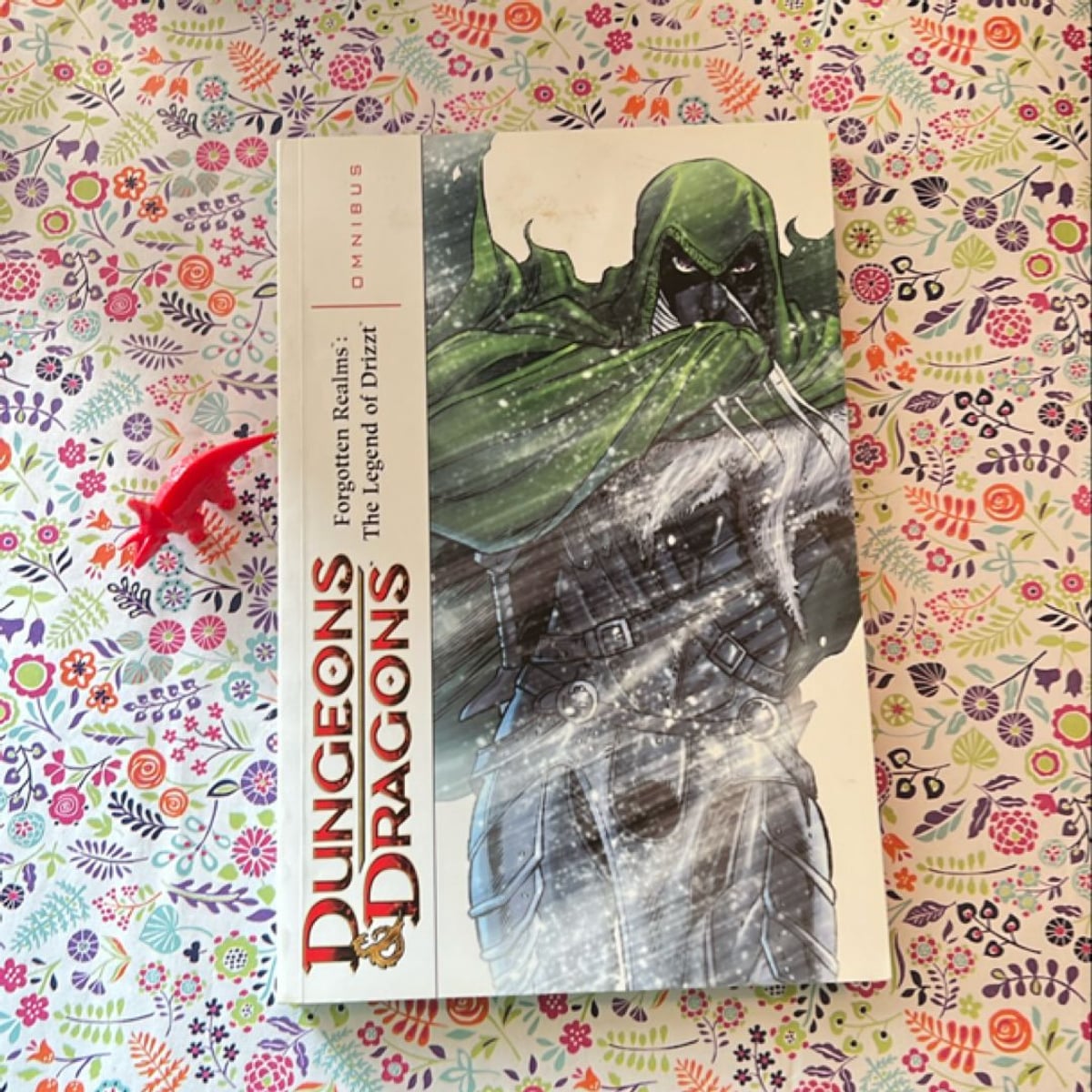 Dungeons and Dragons: Forgotten Realms - the Legend of Drizzt Omnibus ...