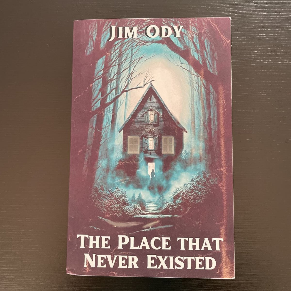 The Place That Never Existed by Jim Ody, Paperback | Pangobooks