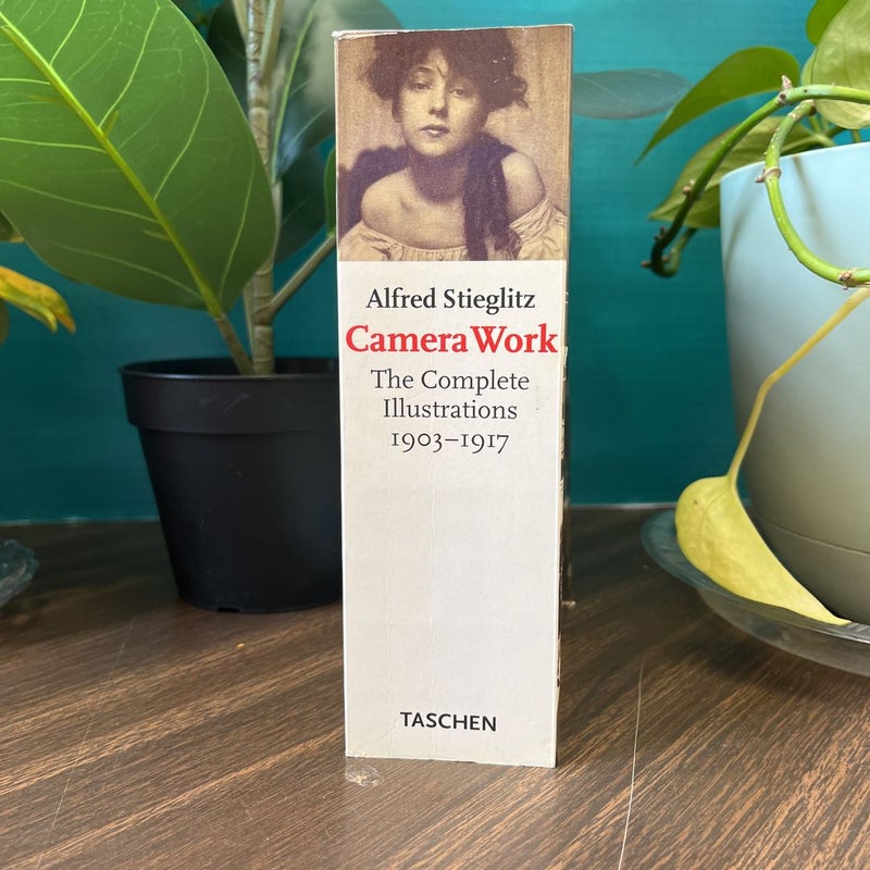 Camera Work by Alfred Stieglitz