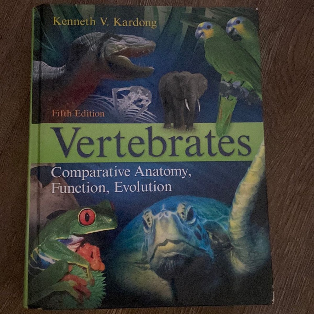 Vertebrates: Comparative Anatomy, Function, Evolution by Kenneth Kardong