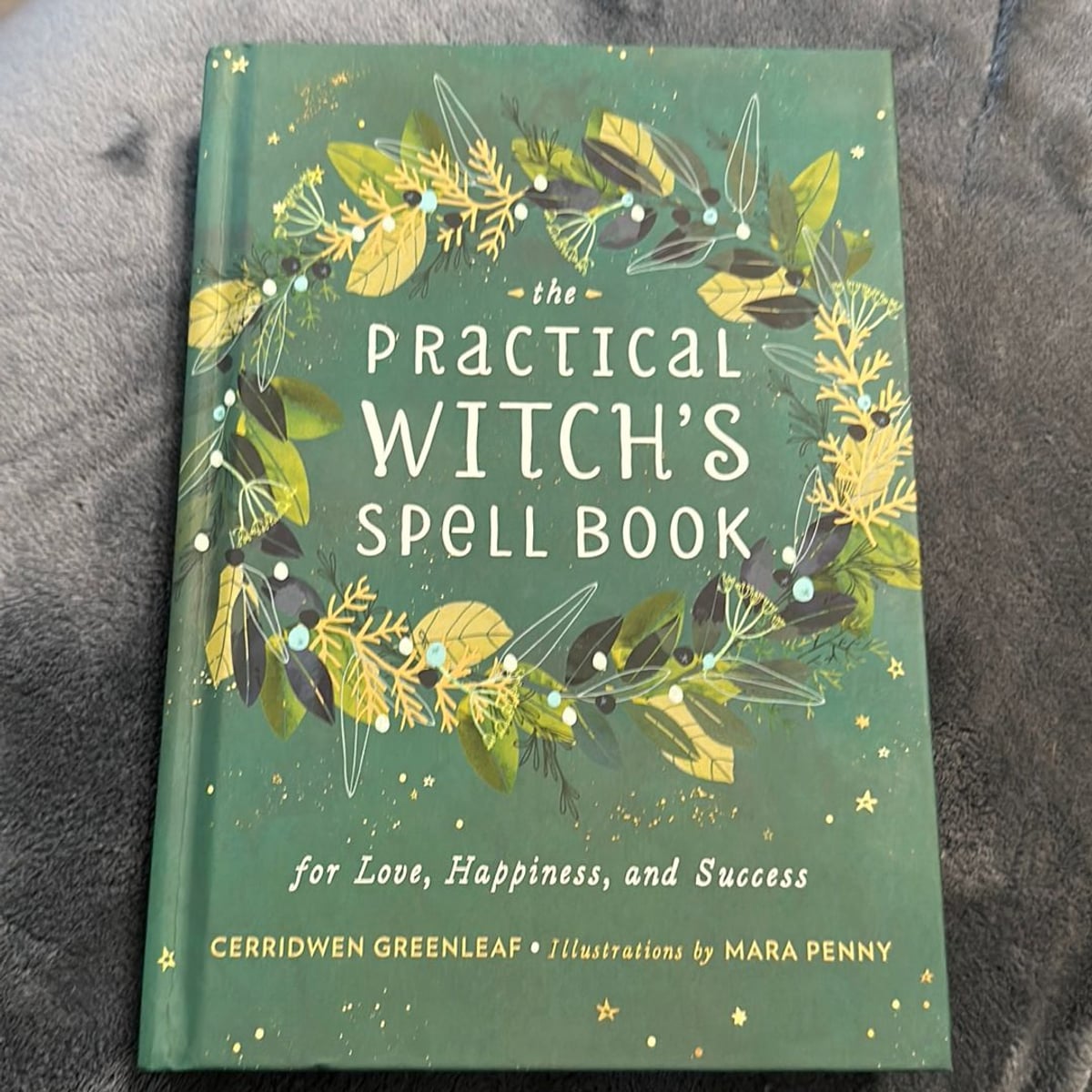 The Practical Witch's Spell Book by Cerridwen Greenleaf, Hardcover ...