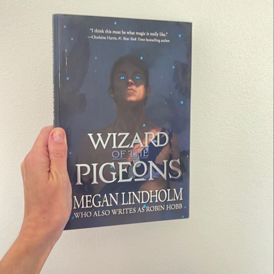 Wizard of the Pigeons by Megan Lindholm