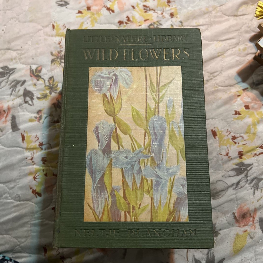 Little Nature Library Wild Flowers Worth Knowing by Neltje Blanchan ...