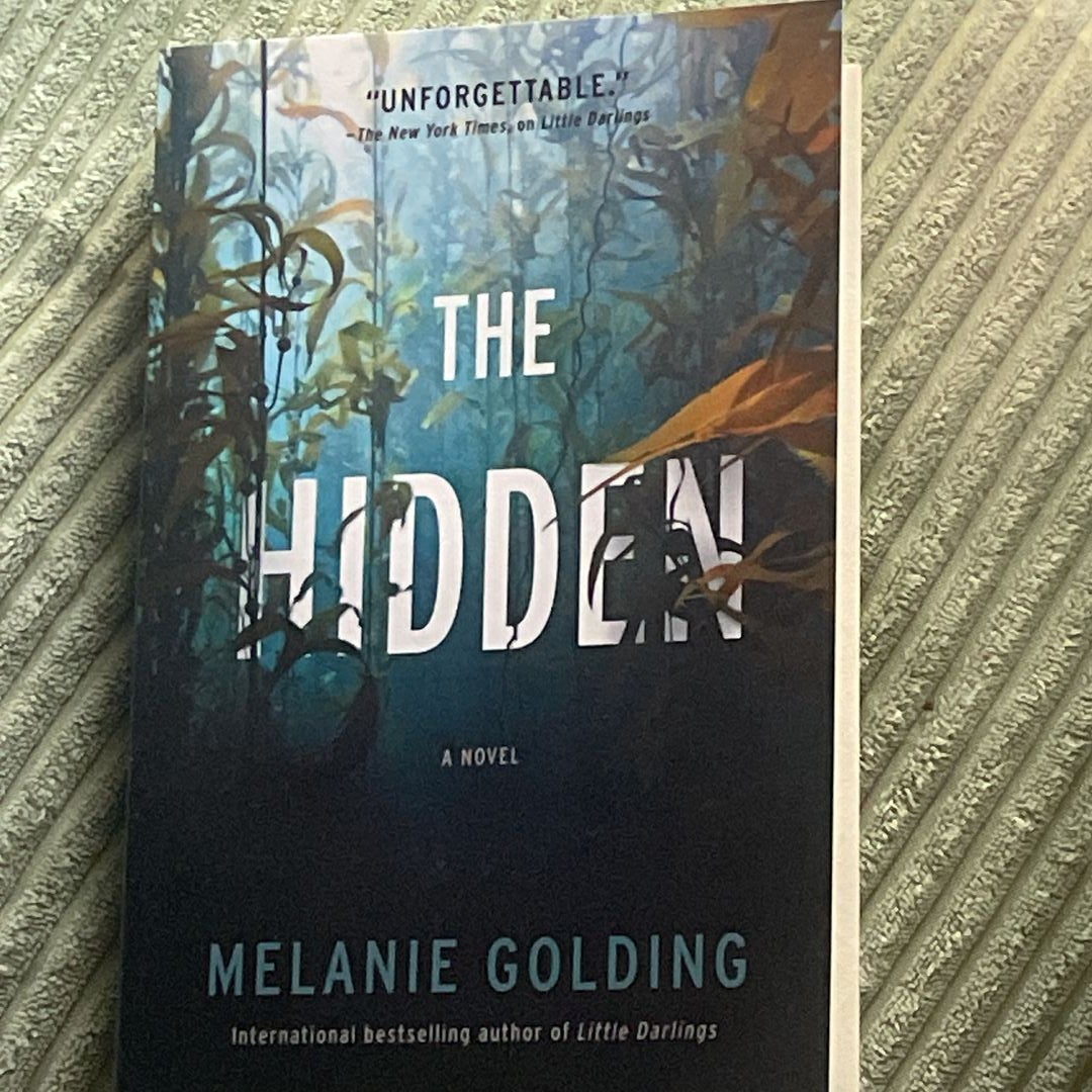 The Hidden by Melanie Golding, Paperback | Pangobooks