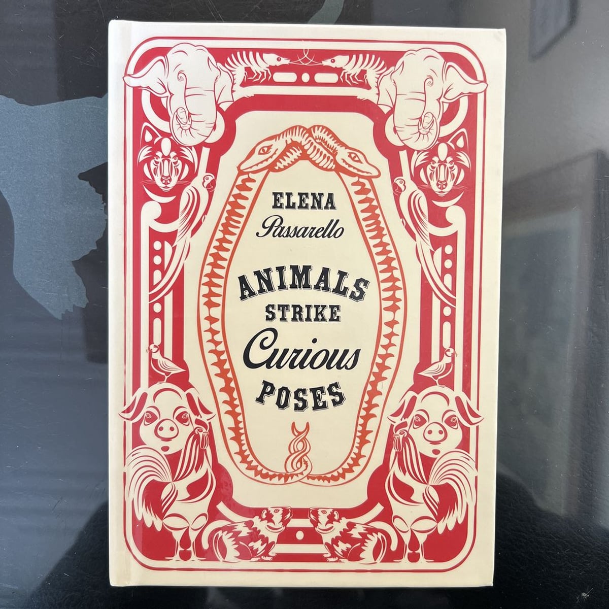 Animals Strike Curious Poses by Elena Passarello, Hardcover | Pango Books