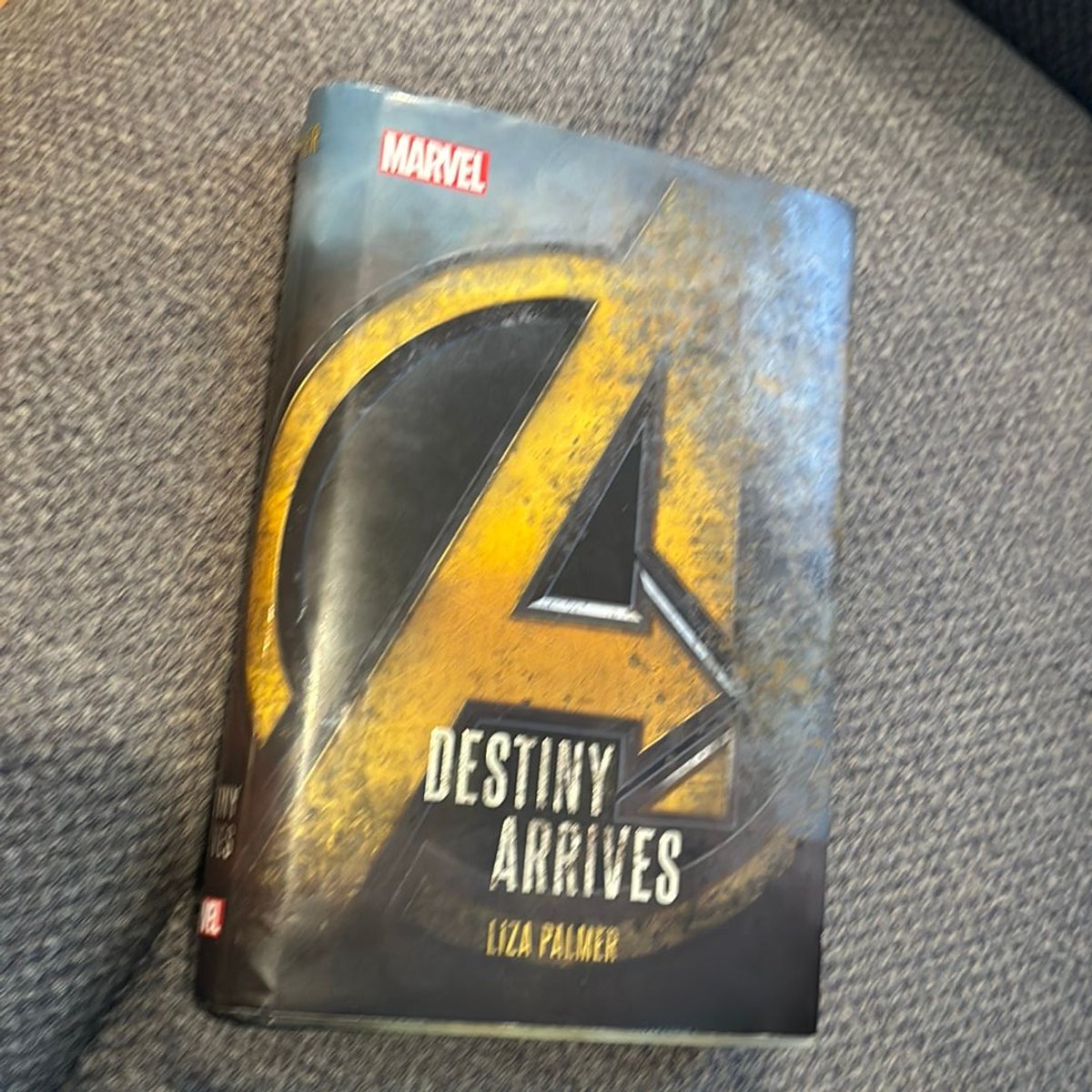 Avengers: Infinity War Destiny Arrives by Liza Palmer
