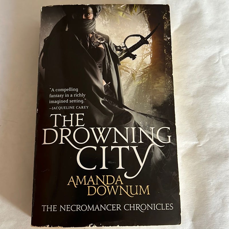 The Drowning City by Amanda Downum