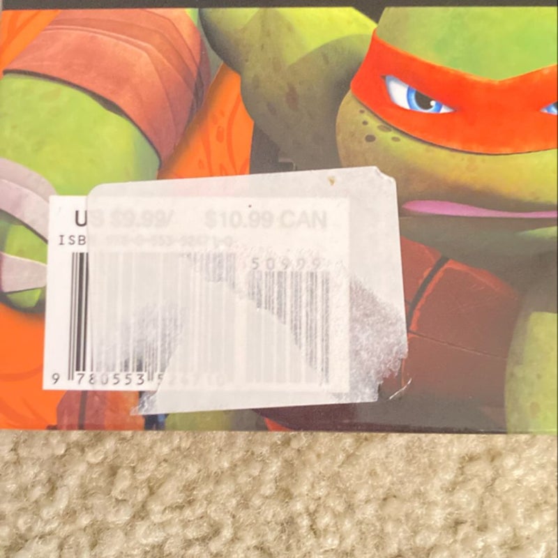 Epic Turtle Tales (Teenage Mutant Ninja Turtles) by Random House