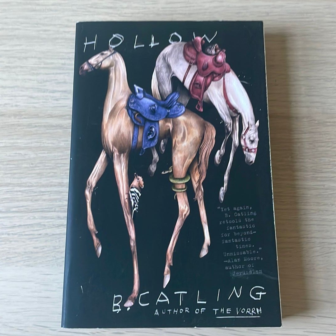 Hollow by Brian Catling