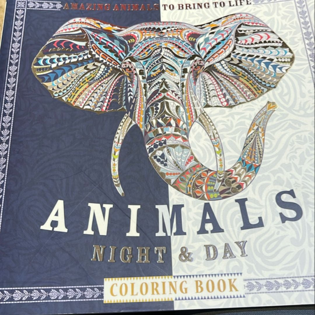 The Night and Day Coloring Book by Beverly Lawson