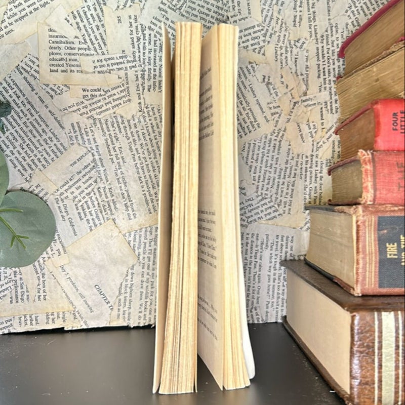 In the Skin of a Lion by Michael Ondaatje