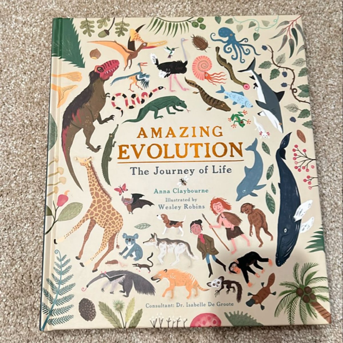 Amazing Evolution by Anna Claybourne