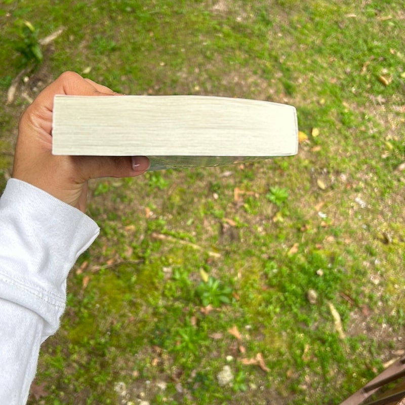 Daisy Haites: the Great Undoing by Jessa Hastings, Paperback | Pangobooks