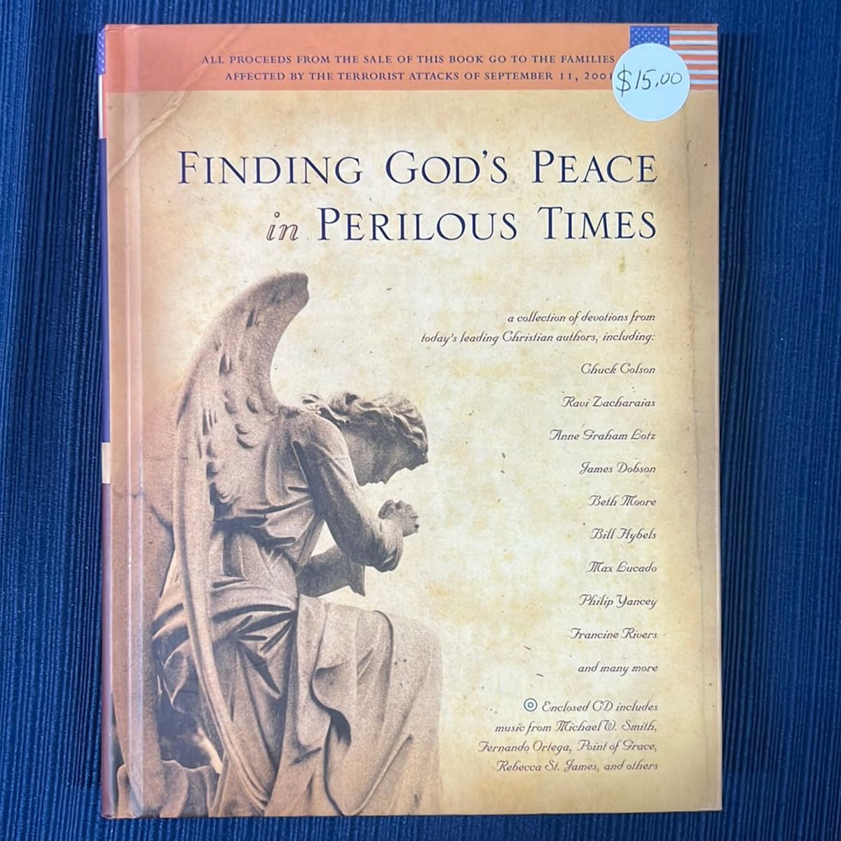 Finding God's Peace in Perilous Times by Tammy Faxel