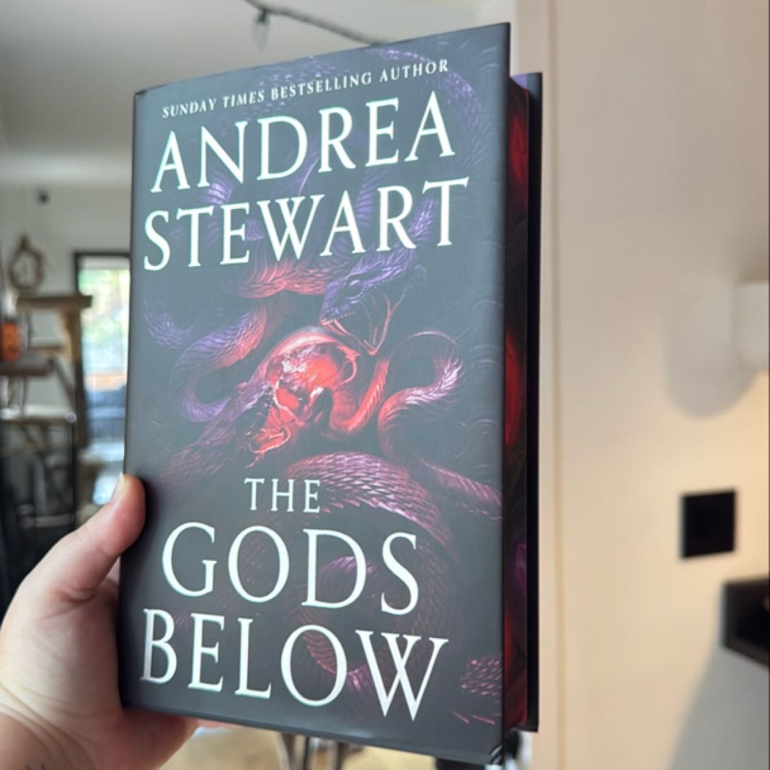 The Gods Below - Fairy Loot Special Edition by Andrea Stewart ...