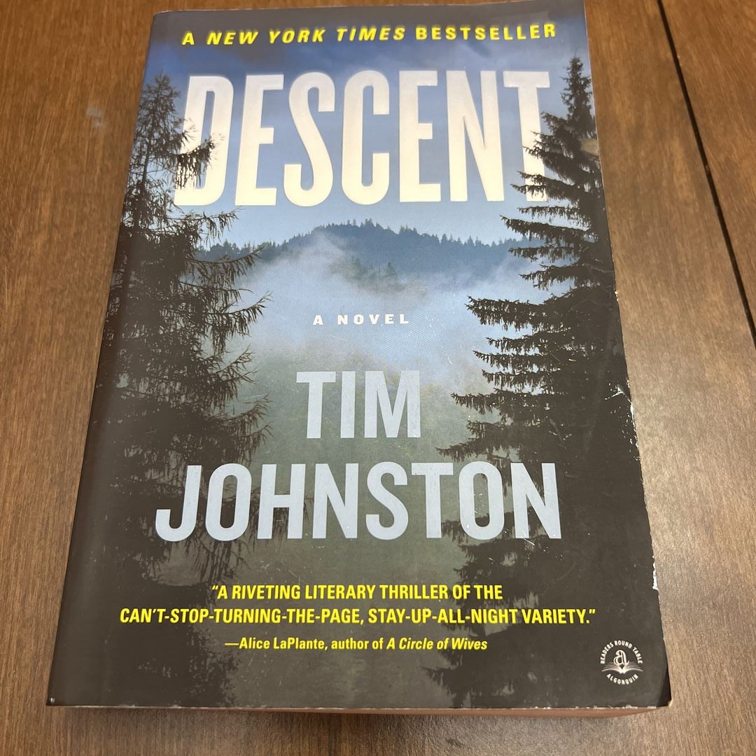 Descent by Tim Johnston