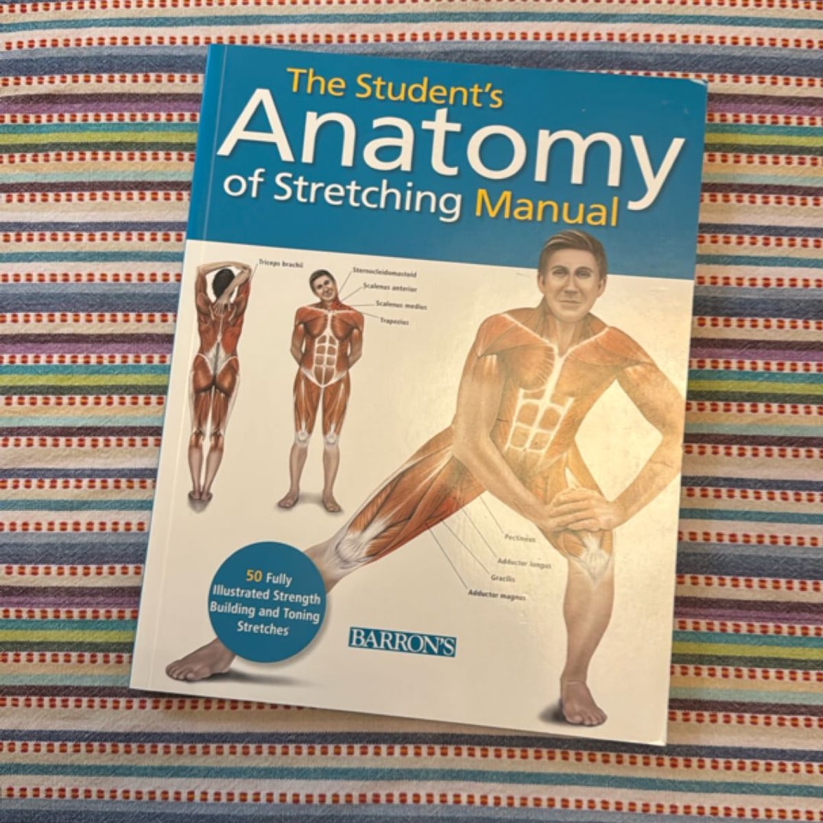Student's Anatomy of Stretching Manual by Ken Ashwell