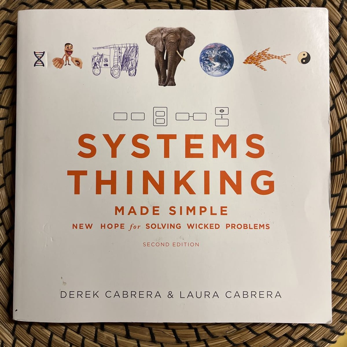 Systems Thinking Made Simple by Derek Cabrera, Laura Cabrera