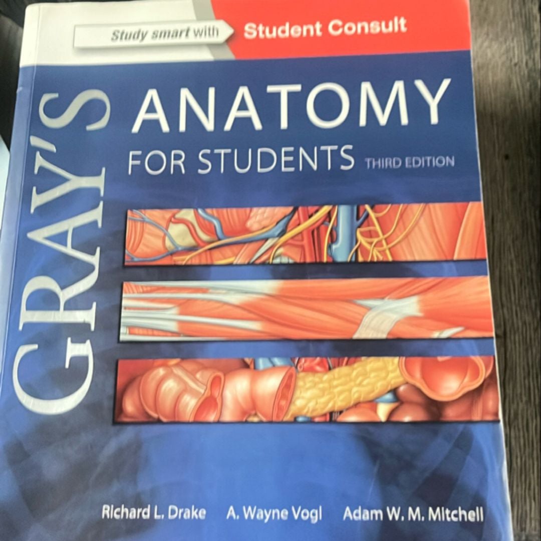 Gray's Anatomy for Students by Richard L. Drake, Wayne Vogl, Adam W. M ...