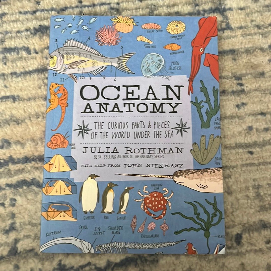 Ocean Anatomy by Julia Rothman, Paperback | Pangobooks