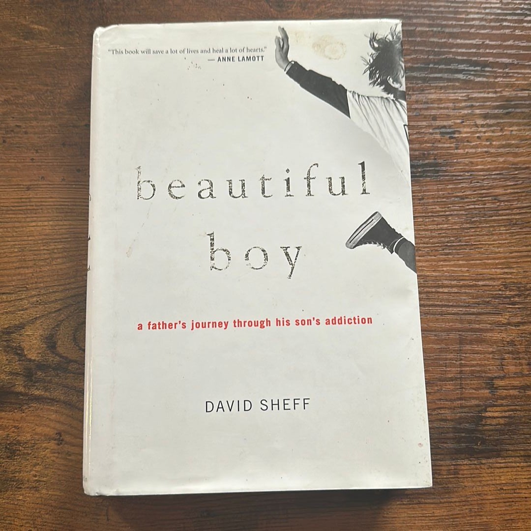Beautiful Boy by David Sheff, Hardcover | Pangobooks