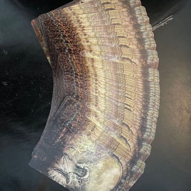 Fallen Angel Oracle Cards by Nigel Suckling