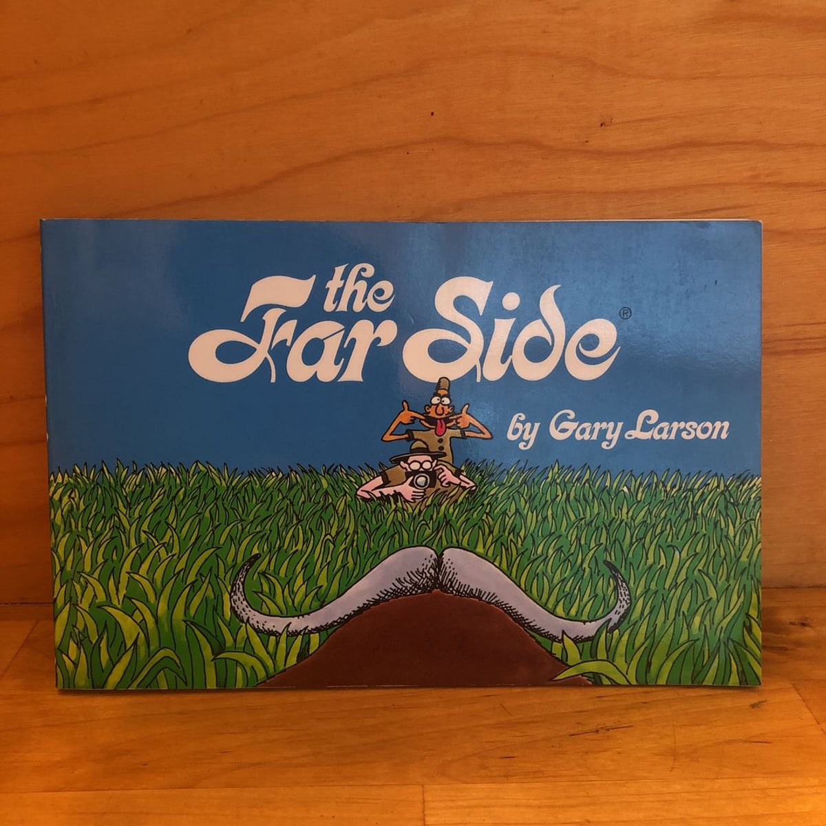 The Far Side by Gary Larson, Paperback | Pangobooks