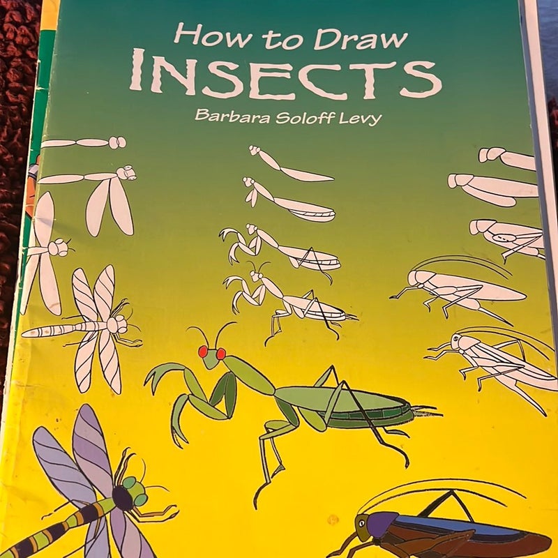 How to Draw Insects by Barbara Soloff Levy, Paperback | Pangobooks