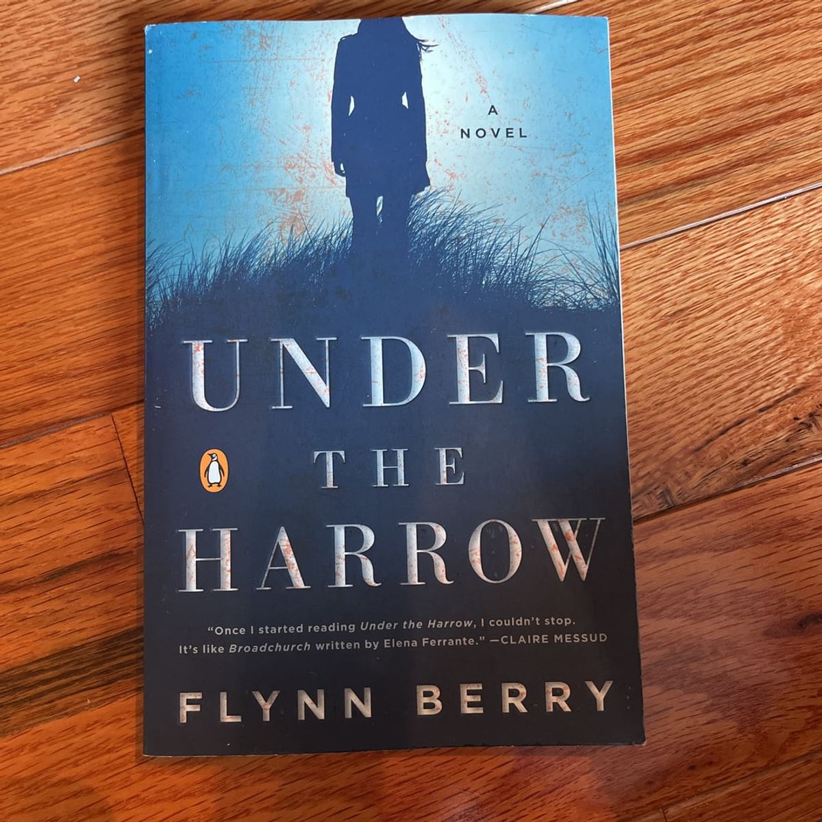 Under the Harrow by Flynn Berry