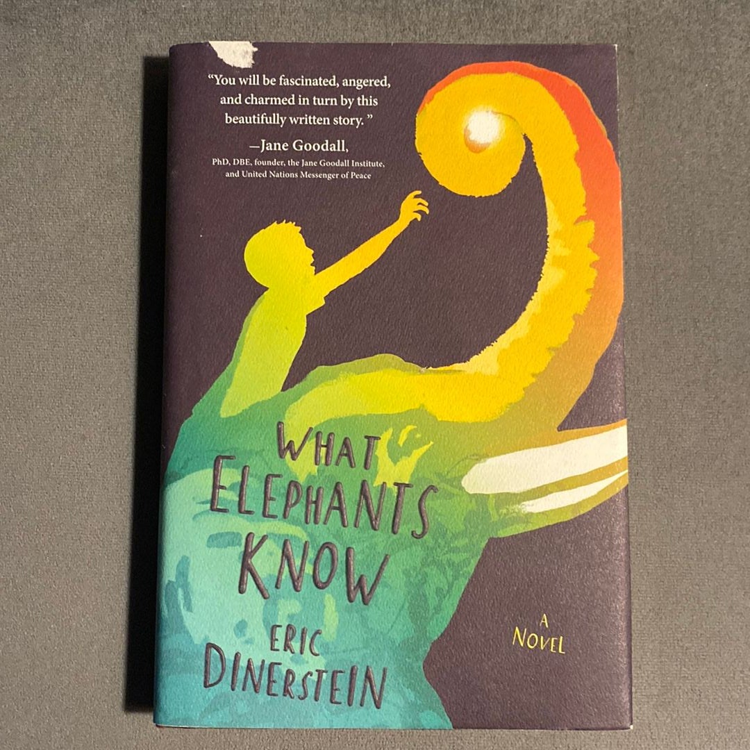 What Elephants Know by Eric Dinerstein, Hardcover | Pangobooks