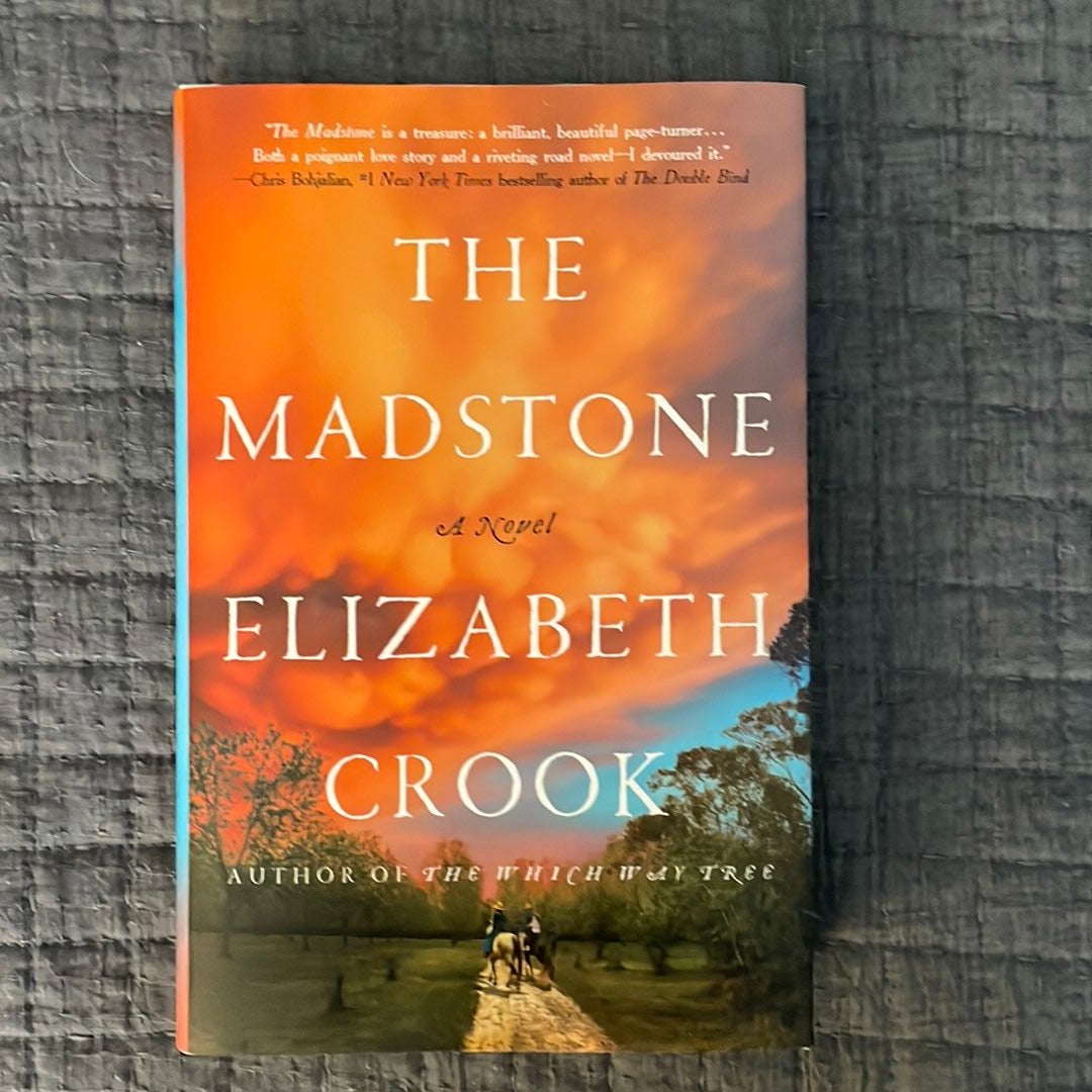 The Madstone by Elizabeth Crook