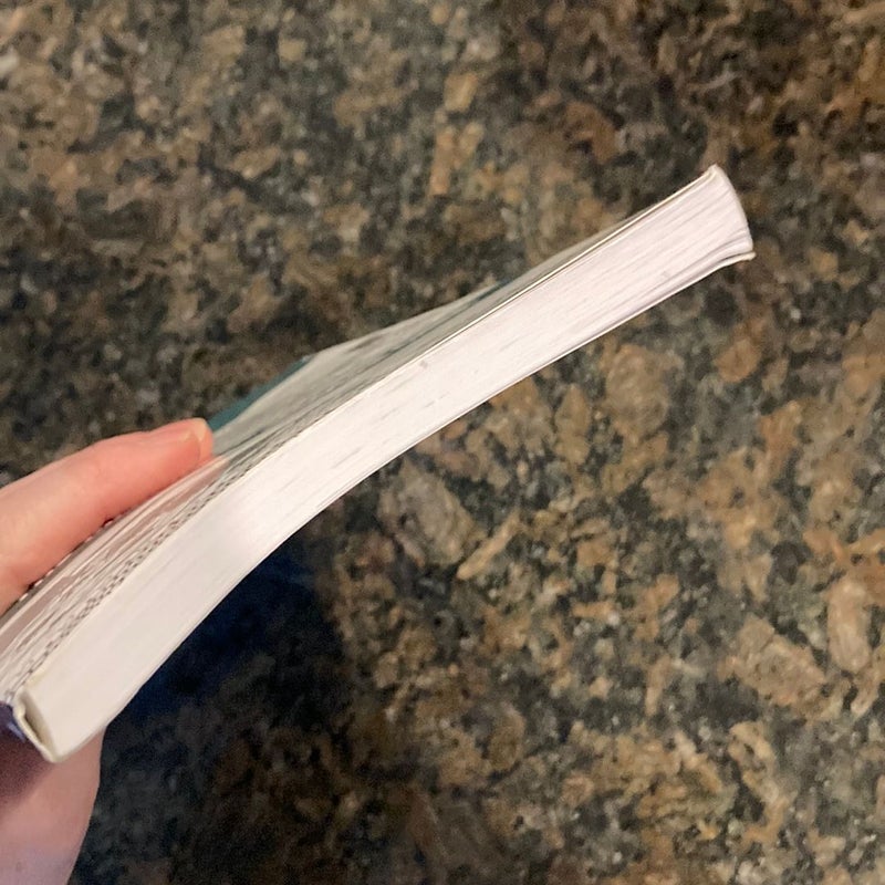 The Making of Modern China by Jing Liu