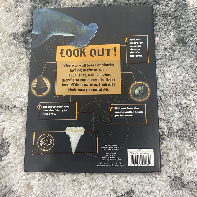 Sharks: Predators of The Sea by Anna Claybourne, Paperback | Pangobooks