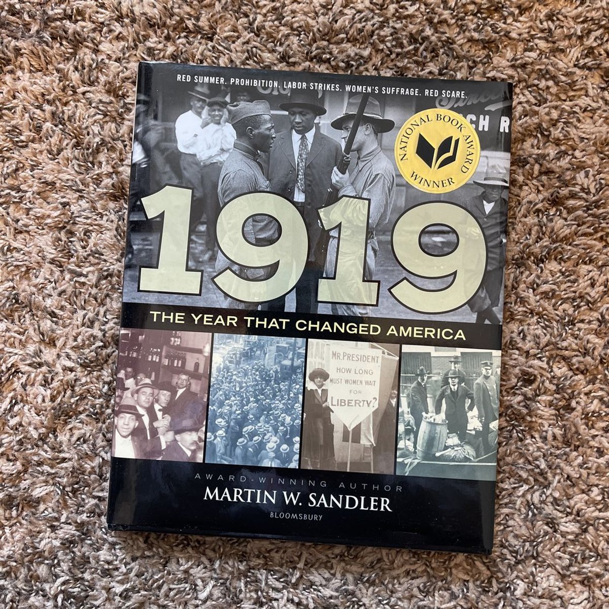 1919 the Year That Changed America by Martin W. Sandler