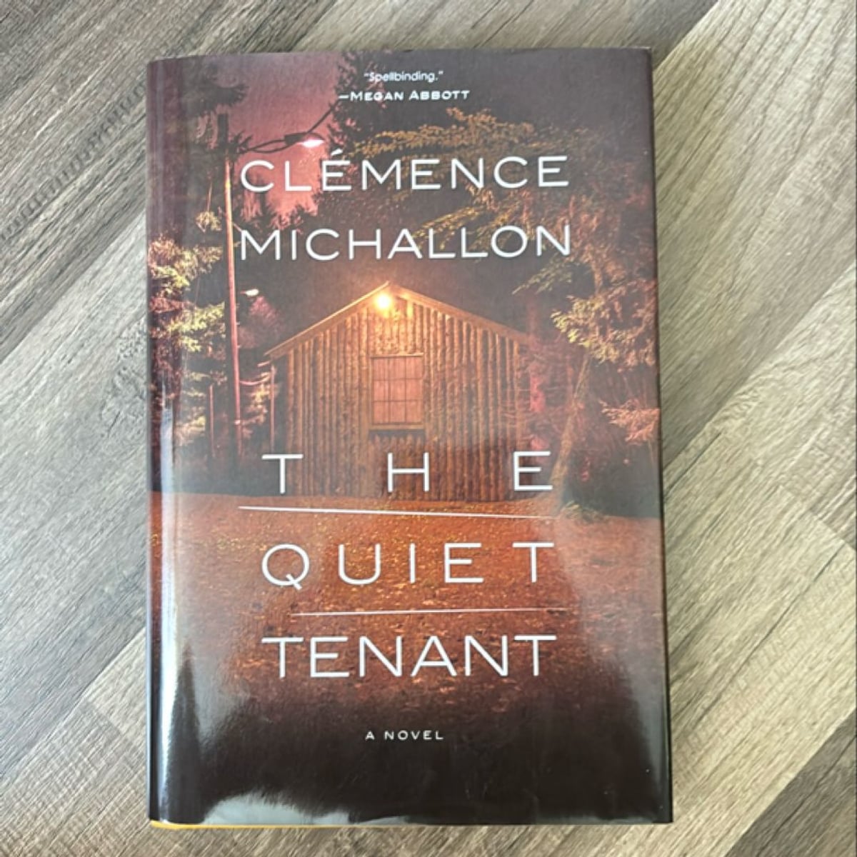 The Quiet Tenant by Clémence Michallon