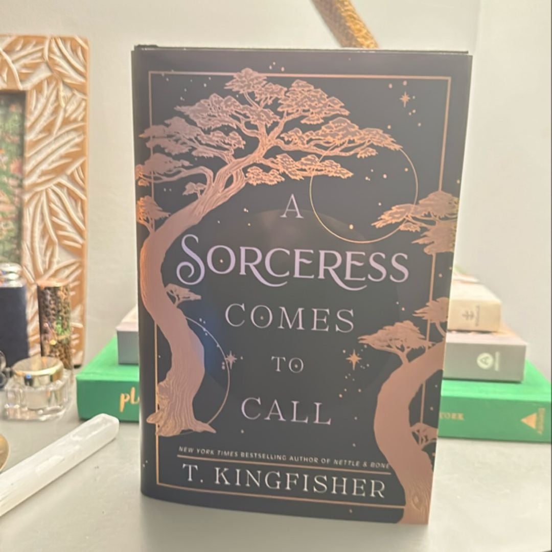 A Sorceress Comes to Call by T. Kingfisher