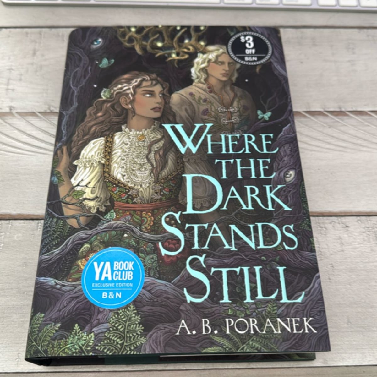 Where The Dark Stands Still by A.b. Poranek
