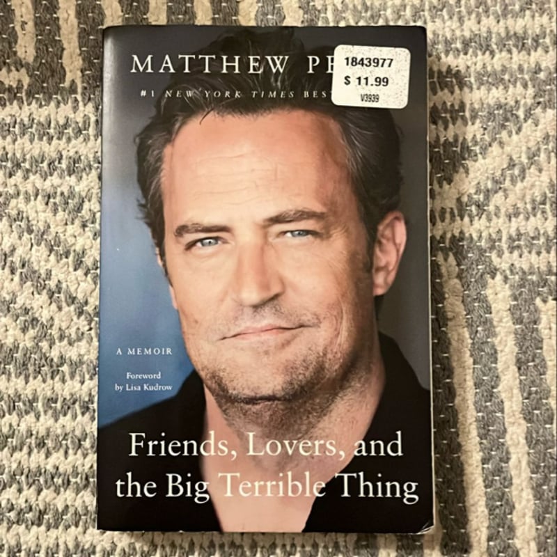 Friends, Lovers, and the Big Terrible Thing by Matthew Perry; Lisa ...