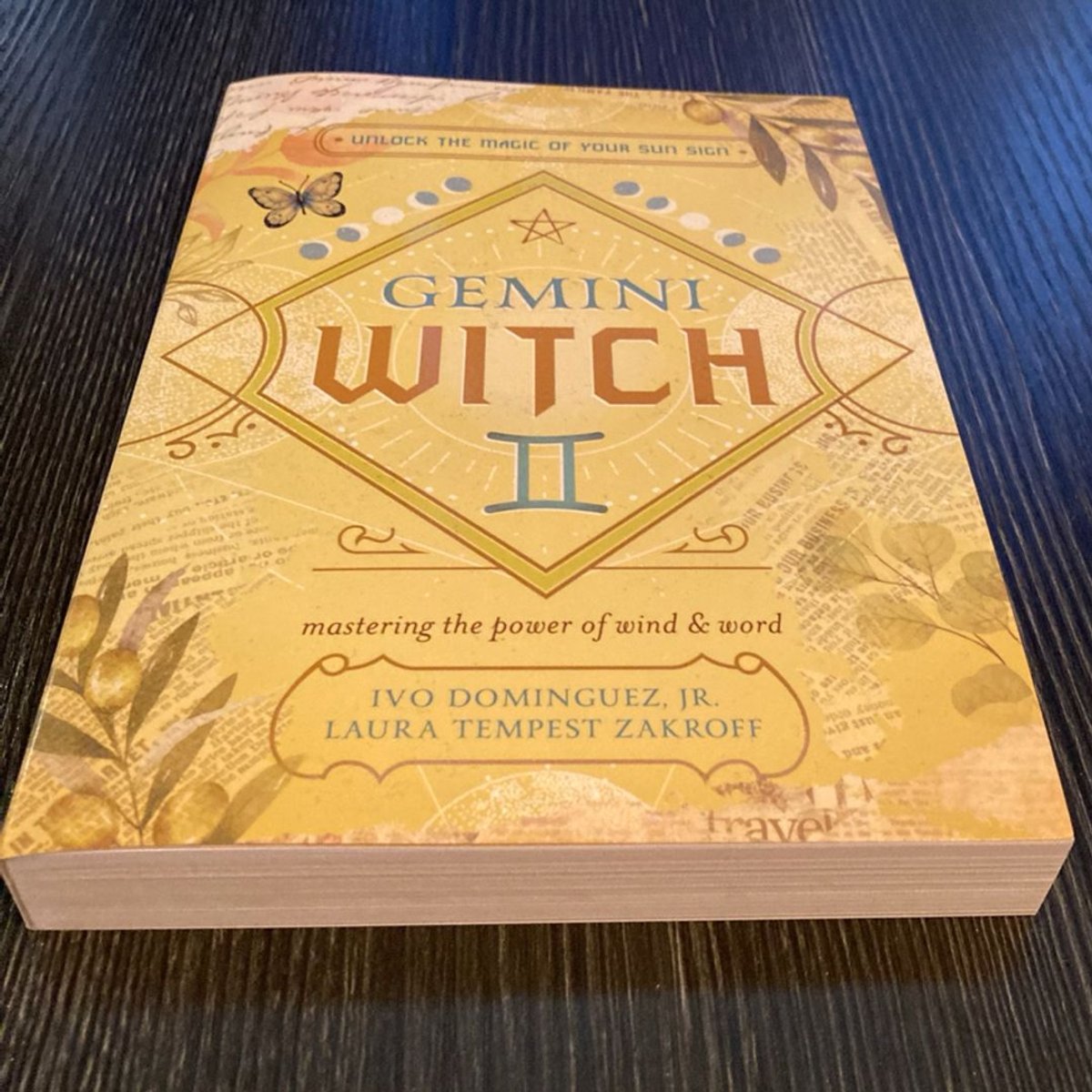 Gemini Witch by Austin Nix, Dawn Aurora Hunt, Sandra Kynes, Ivo ...