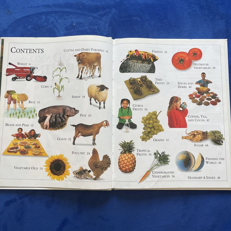 Food and Farming by Lisa Dibble, Hardcover | Pangobooks