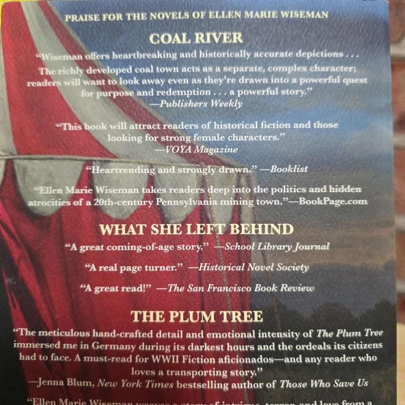 Life She Was Given The by Ellen Marie Wiseman