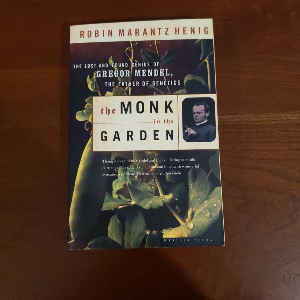 The Monk in the Garden by Robin Marantz Henig