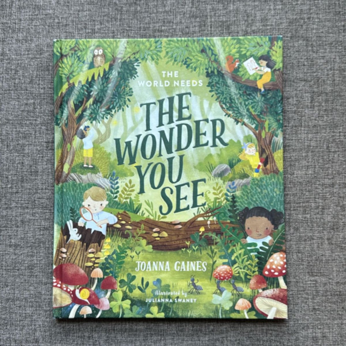 The World Needs the Wonder You See by Joanna Gaines